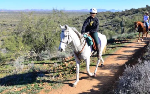 Phoenix Sonoran Preserve - An Oasis in the City