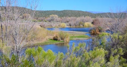 Rivers of Phoenix – Oases in the Desert!