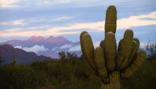 A Majestic Scenic Drive in Arizona - The Bush Highway