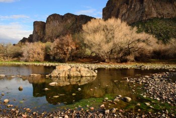 A Majestic Scenic Drive in Arizona - The Bush Highway