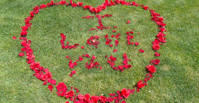 A Little Romance for Valentine's Day