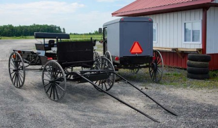 An Amish Farmer's Auction in the NY Finger Lakes