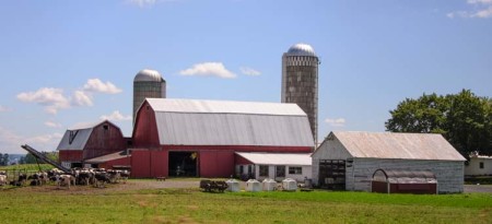 A Peek Inside the Amish Farms of the NY Finger Lakes
