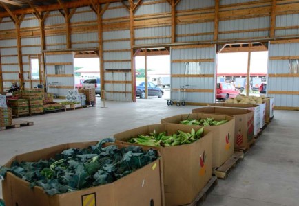 An Amish Farmer's Auction in the NY Finger Lakes