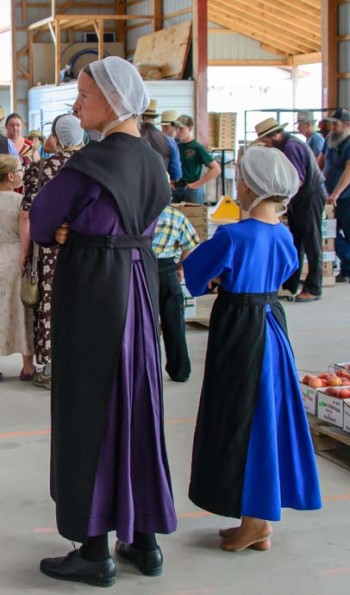An Amish Farmer's Auction in the NY Finger Lakes