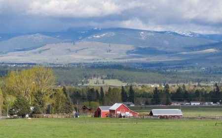 Montana’s Bitterroot Valley – Elk, Horses, Ranches & More!