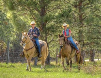 Montana’s Bitterroot Valley – Elk, Horses, Ranches & More!