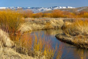 Strawberry Reservoir, Utah – Springtime Beauty with Ice & Snow!