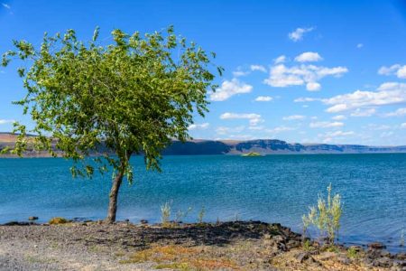 Bovill, Idaho – An Early 20th Century Classic