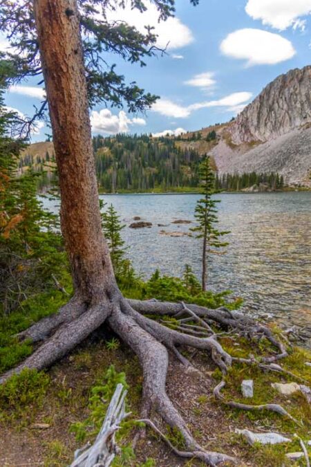 Lakes and Light in Wyoming and Colorado