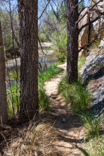 Lynx Lake, Arizona – Great RV Camping Near Prescott!