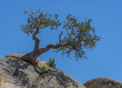Willow Lake (& more) around the Granite Dells in Prescott AZ