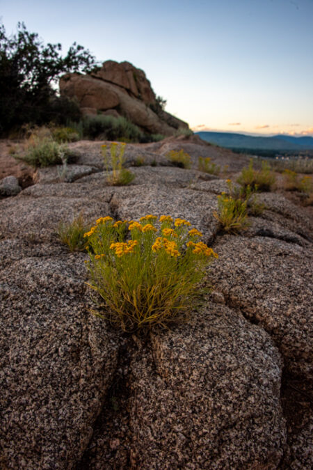Hartman Rocks – A Different View of Colorado near Gunnison